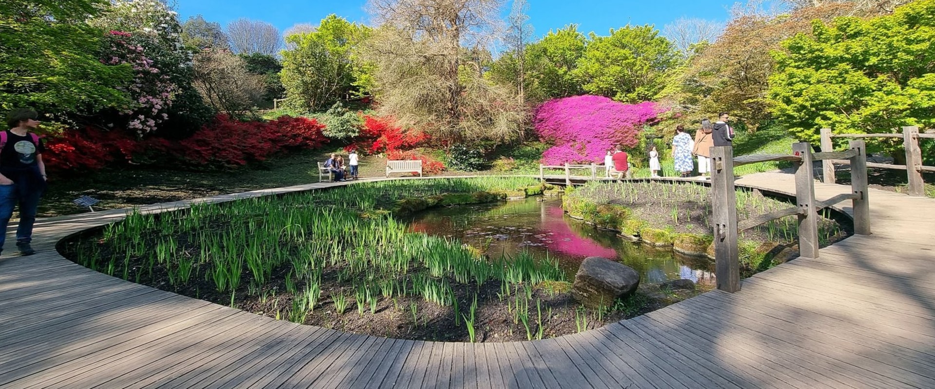 Bloom and Wander: Discover the Magic of Botanical Gardens